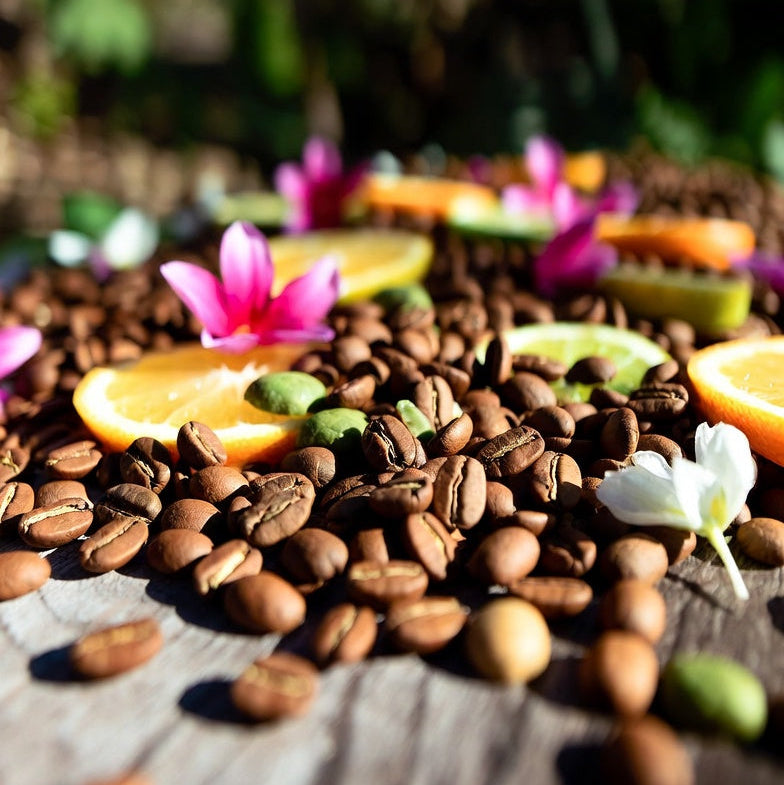 RedHeadedStepchildCoffee.com – Red Headed Stepchild Coffee Roaster